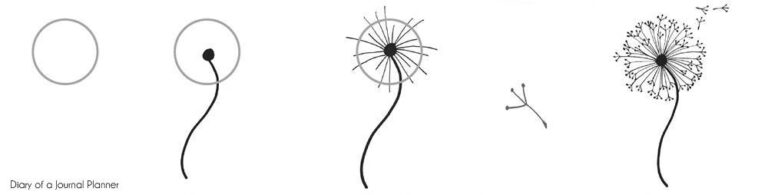 How to draw a dandelion: Easy dandelion drawing step by step tutorial