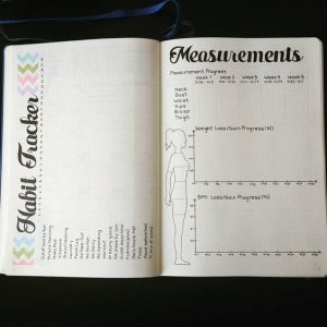 Reach Your Goals Using A Bullet Journal For Weight loss and Health