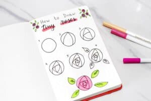 Rose Drawing: How to draw a rose step by step for beginners