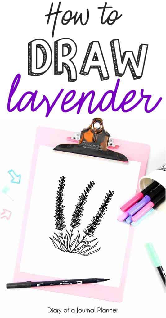 Lavender Drawing - 7 Easy Steps To A Perfect Lavender Doodle