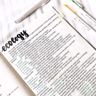 Bullet Journal For Students (19 Layouts To Make You More Productive)