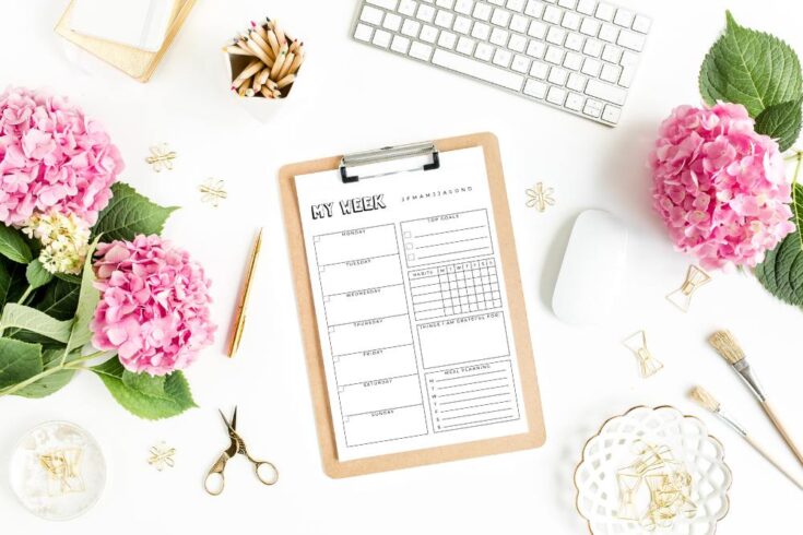 Simple Bullet Journal Ideas for Beginners and Minimalists in 2025