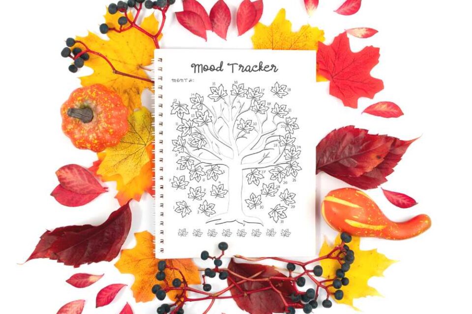 Beautiful Fall Bullet Journal Ideas You Have To Try