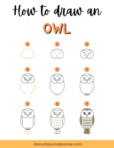 How To Draw An Owl - Easy Owl Drawing To Try