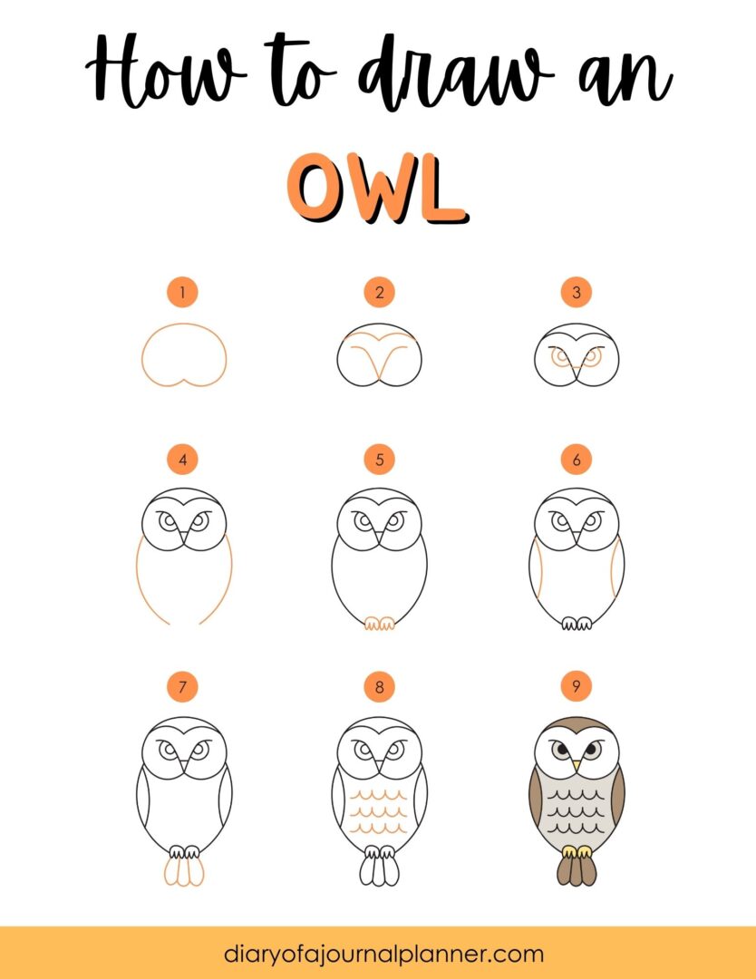 How To Draw An Owl - Easy Owl Drawing To Try