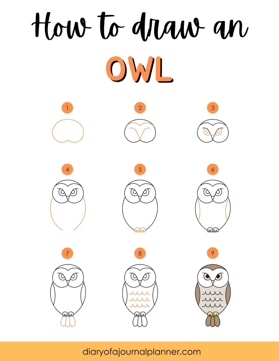 How To Draw An Owl - Easy Owl Drawing To Try