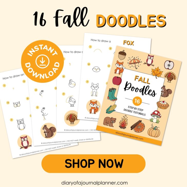 How To Draw A Hedgehog – Easy Hedgehog Drawing To Try