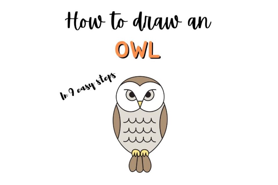 How To Draw An Owl - Easy Owl Drawing To Try