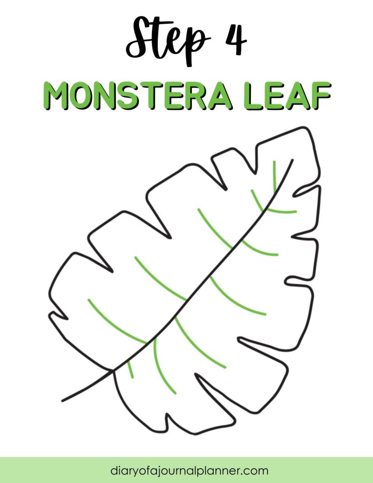 How To Draw A Monstera Leaf – Easy Monstera Leaf Drawing To Try