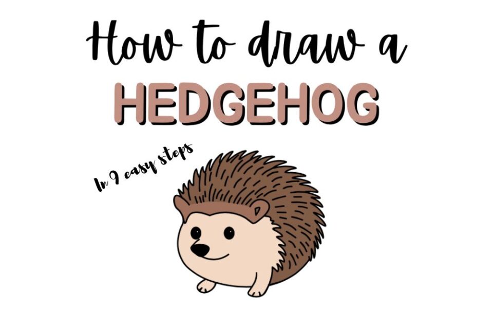 How To Draw A Hedgehog – Easy Hedgehog Drawing To Try