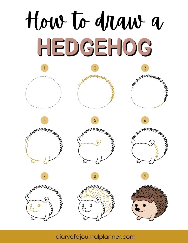 How To Draw A Hedgehog – Easy Hedgehog Drawing To Try