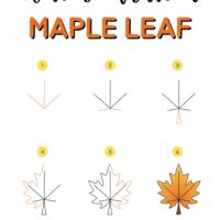 How To Draw A Maple Leaf - Easy Maple Leaf Drawing To Try