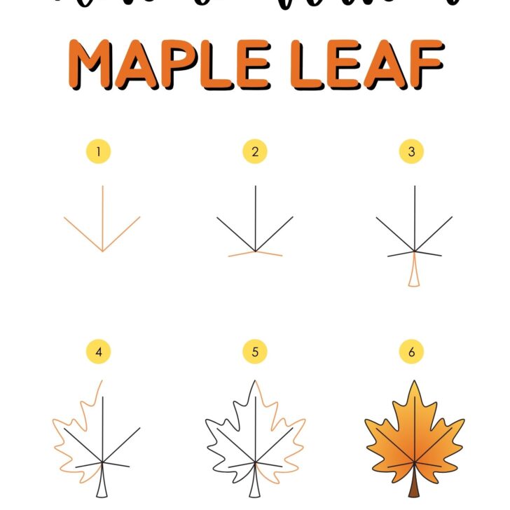 How To Draw A Maple Leaf - Easy Maple Leaf Drawing To Try