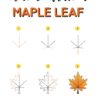 How To Draw A Maple Leaf - Easy Maple Leaf Drawing To Try