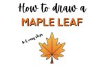 How To Draw A Maple Leaf - Easy Maple Leaf Drawing To Try