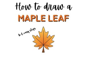 How To Draw A Maple Leaf - Easy Maple Leaf Drawing To Try