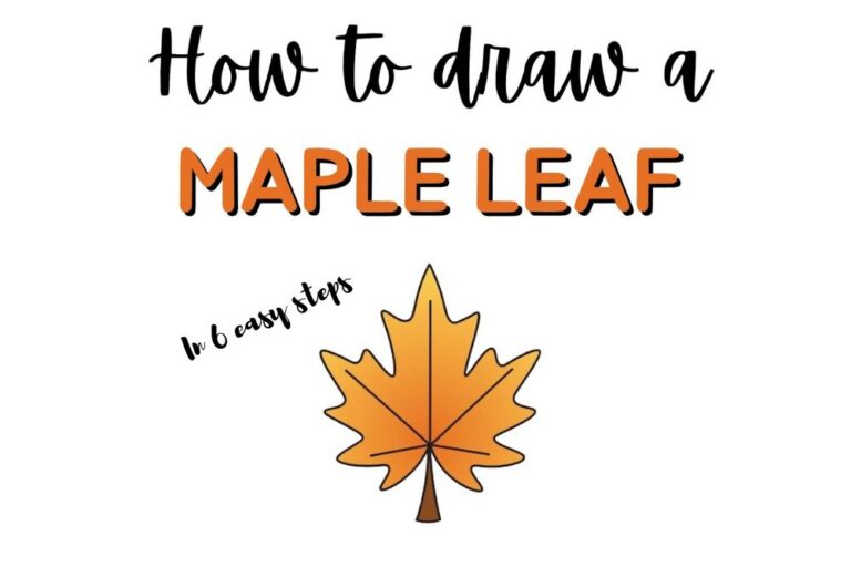 How To Draw A Maple Leaf - Easy Maple Leaf Drawing To Try