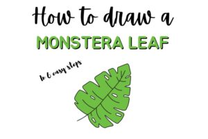 How To Draw A Monstera Leaf – Easy Monstera Leaf Drawing To Try
