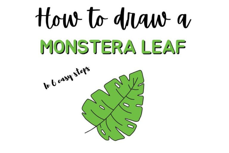 How To Draw A Monstera Leaf – Easy Monstera Leaf Drawing To Try