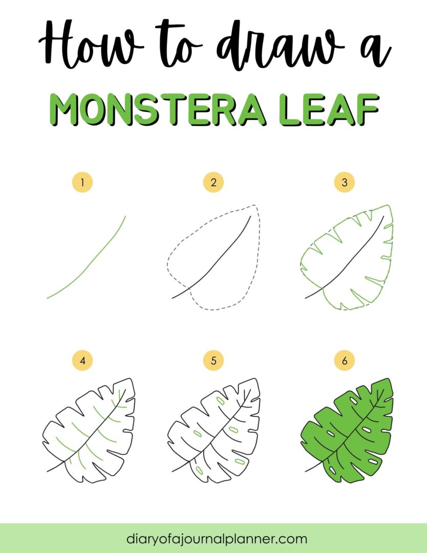 How To Draw A Monstera Leaf – Easy Monstera Leaf Drawing To Try