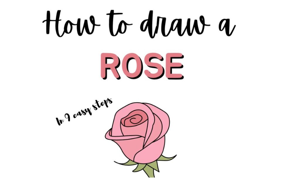 Easy Jam Jar Drawing - How To Draw A Jam Jar for Beginners