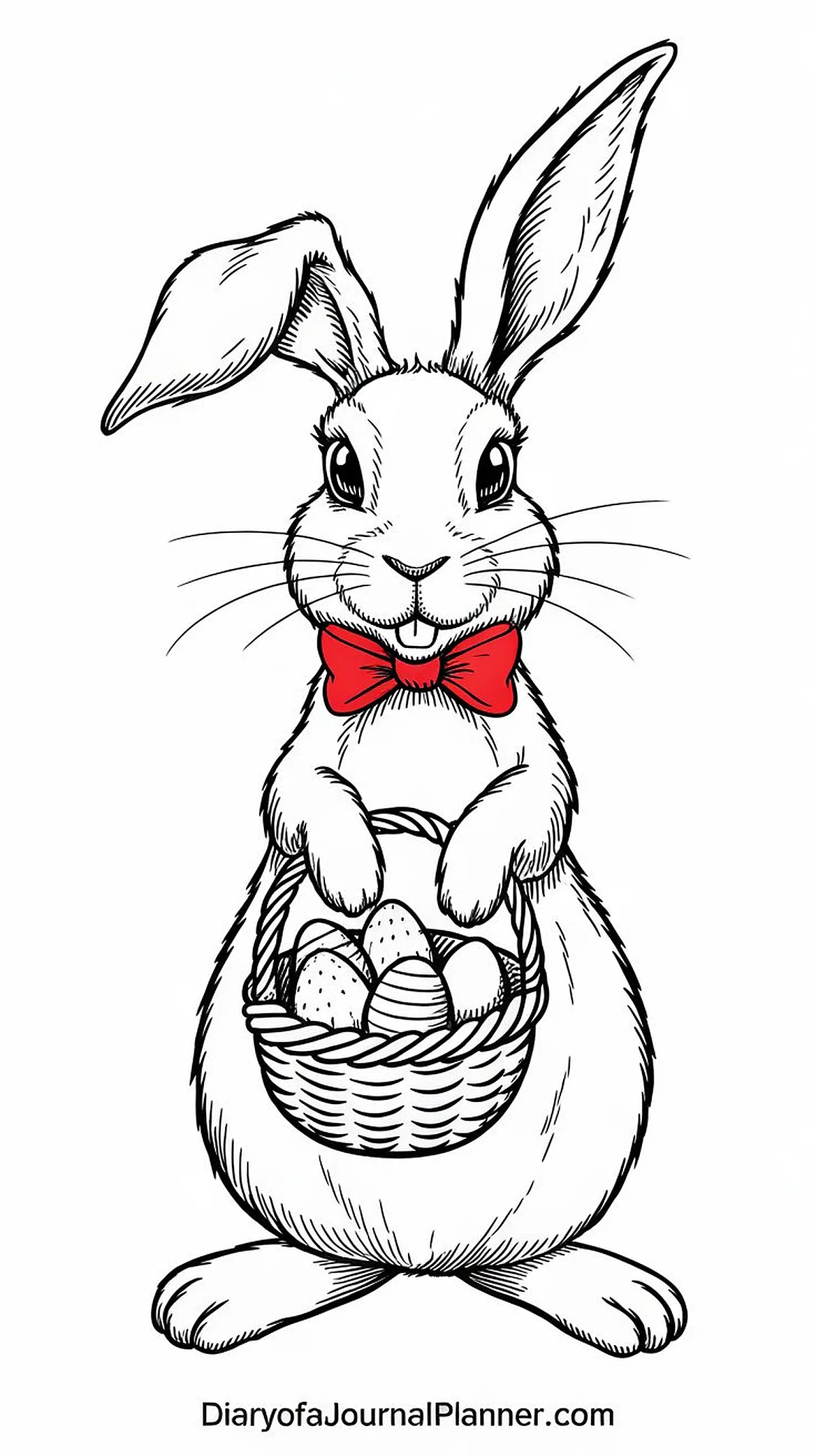 50+ Easter Bunny Drawing Ideas to Hop into Your Sketchbook