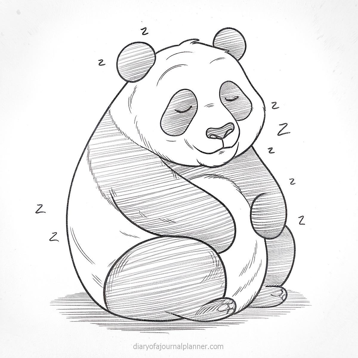 Panda Drawing Ideas To Try When You're Feeling Creative (2025)