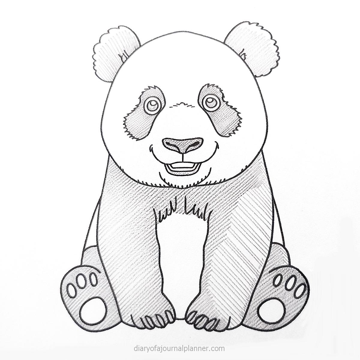 Panda Drawing Ideas To Try When You're Feeling Creative (2025)