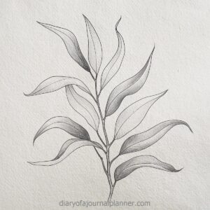Easy Spring Drawing Ideas