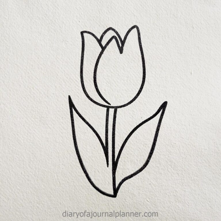 Easy Spring Drawing Ideas