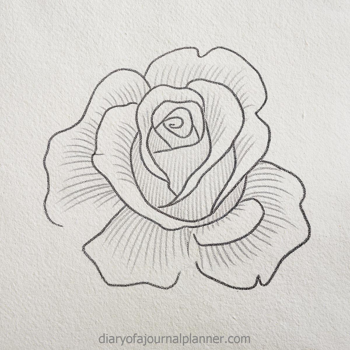 Easy Spring Drawing Ideas