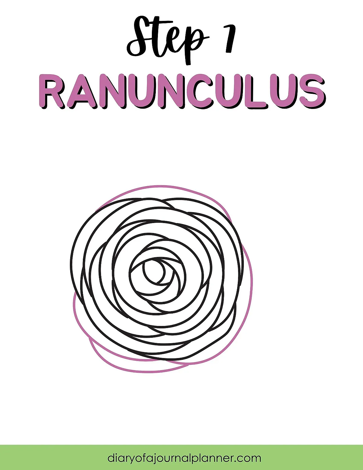 How to Draw a Ranunculus (Easy Ranunculus Drawing Tutorial for Beginners!)